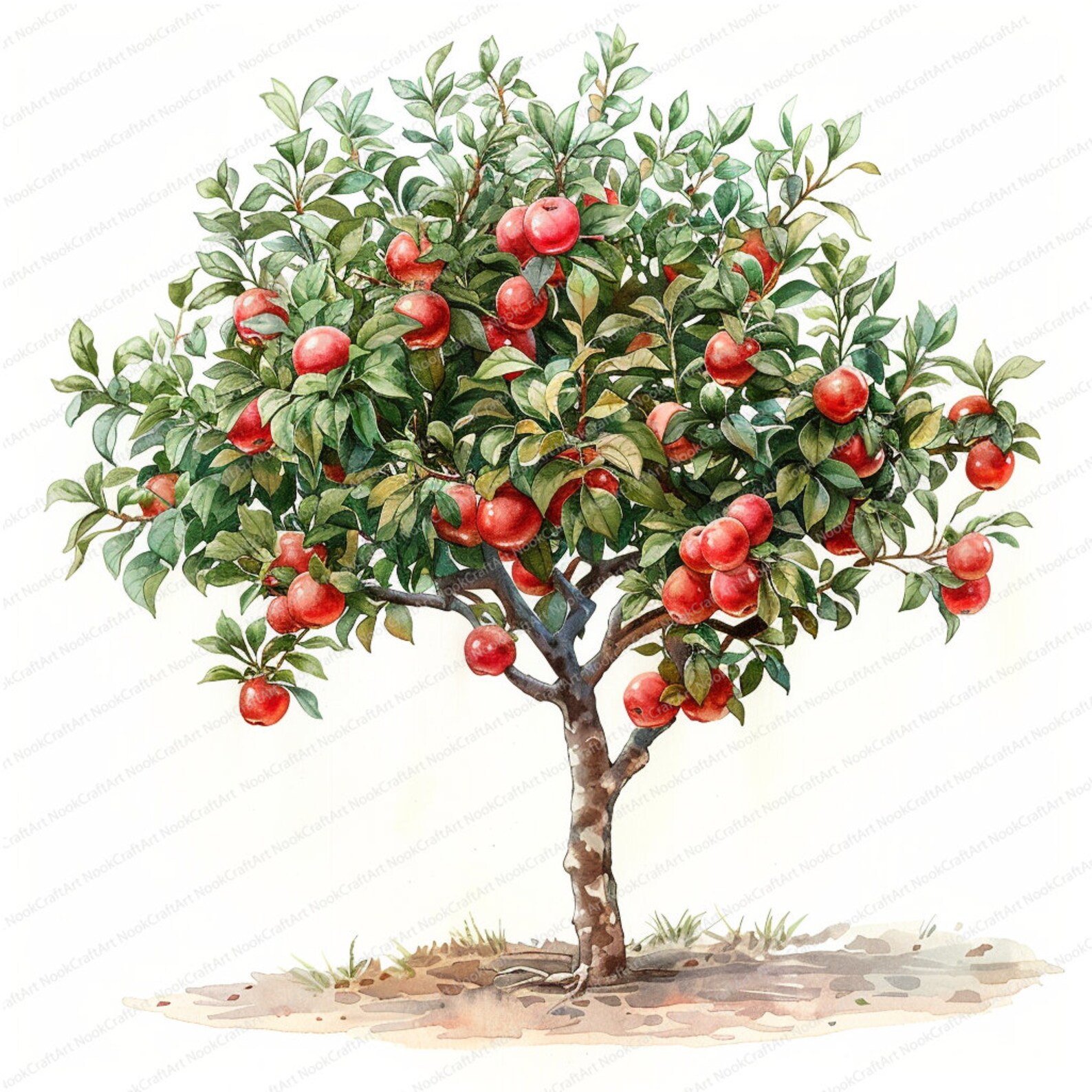 12 Apple Trees Clipart | Apple Tree | Printable Watercolor Clipart ...