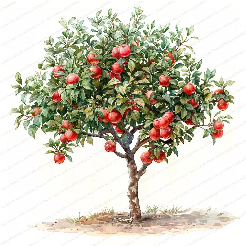 12 Apple Trees Clipart Apple Tree Printable Watercolor Clipart High Quality Jpgs Digital ...