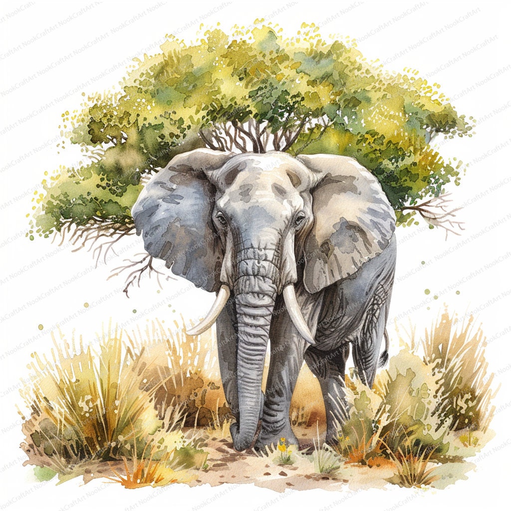 12 Elephant Cliparts Safari Animal Watercolor Elephant High Quality ...