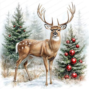 20 Christmas Deer Clipart Bundle | Reindeer Clipart | High Quality Jpgs ...