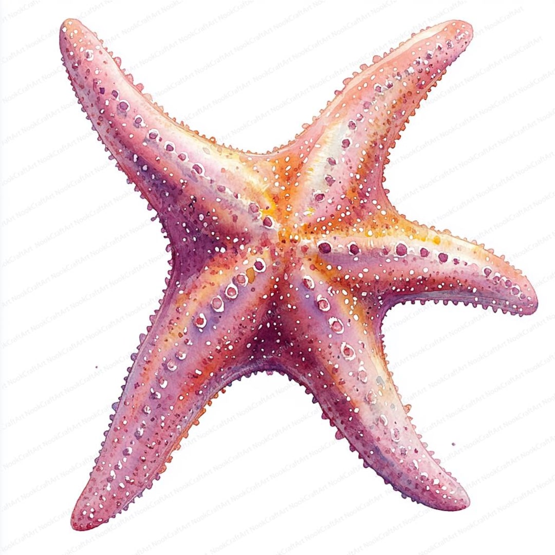 15 Starfish Ocean Clipart | Beach-themed Digital Art | Printable ...
