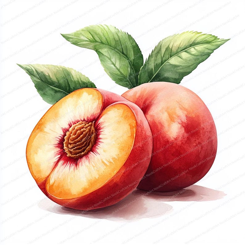 20 Peaches Clipart | Summer Fruit Watercolor Images | Printable Jpgs ...