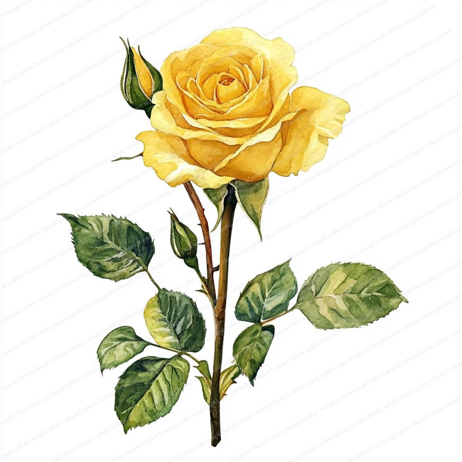 20 Yellow Rose Flower Clipart | Botanical Watercolor Floral Art ...