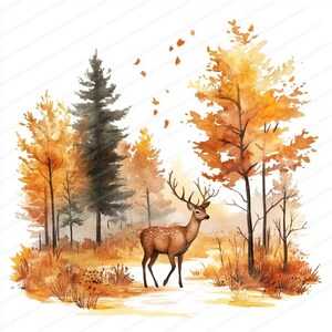20 Autumn Forest Clip Art Set Watercolor Landscape Clipart High Quality ...