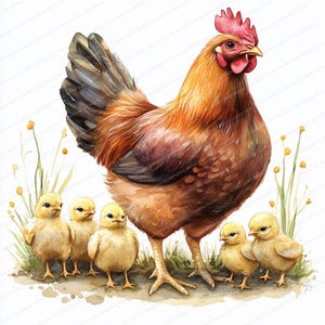 20 Chicken Family Clipart | Mother Hen With Chicks Design | Printable ...