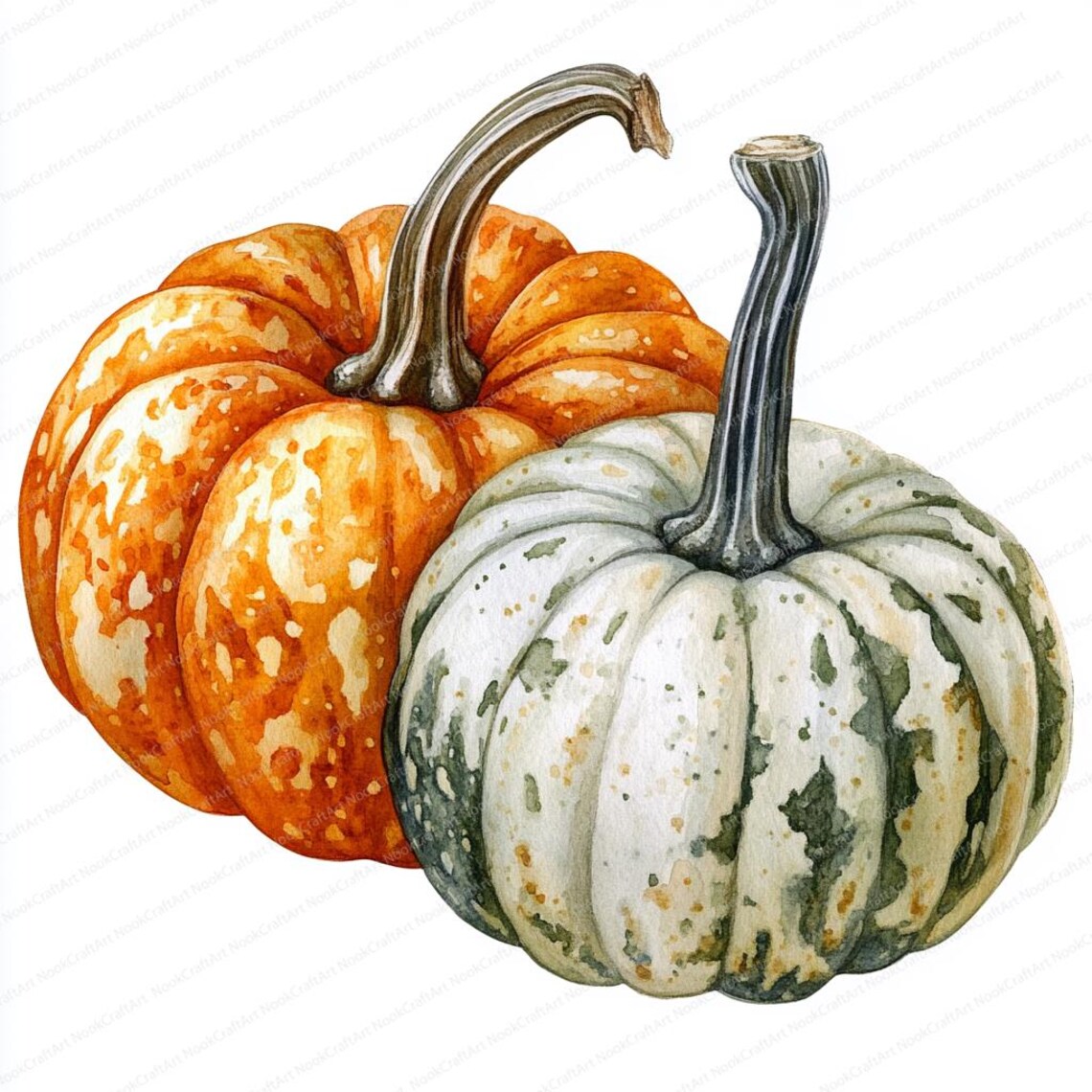 18 Autumn Gourds and Pumpkin Clipart | Harvest Pumpkin Designs | High ...