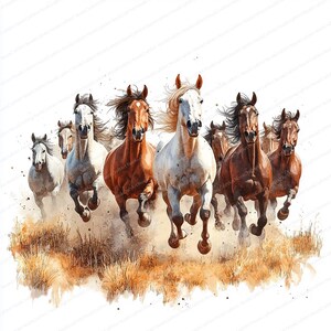 21 Horse Stampede Clipart | Wild Horses in the Steppe | Printable ...
