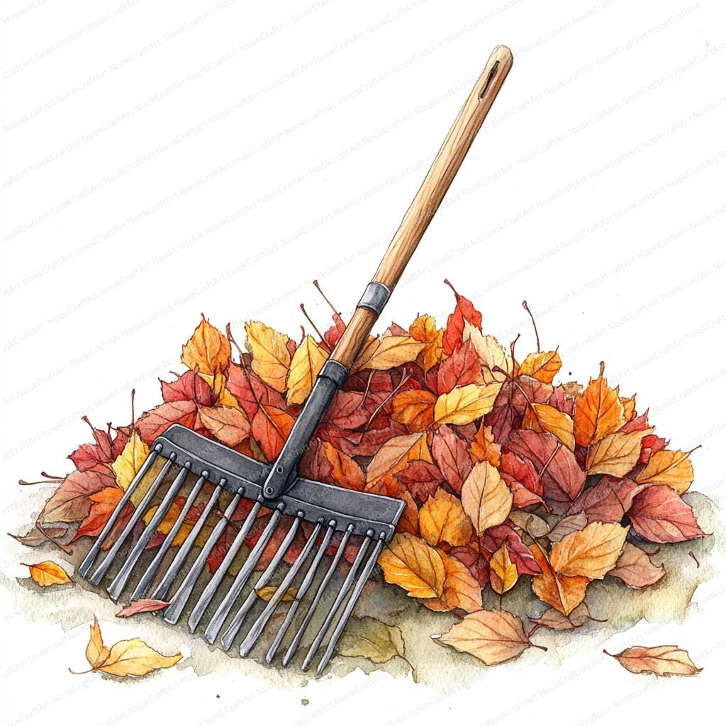 20 Autumn Leaves Rake Clipart | Fall Yard Cleanup Illustration ...