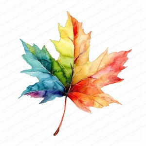 12 Maple Leaf Clipart | Elegant Maple Leaf Clipart Bundle | High ...