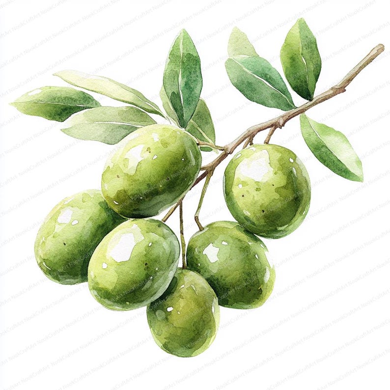 24 Olive Branch Clipart | Green Olives Illustration Pack | Printable ...