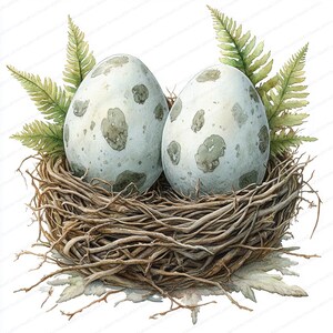 20 Dinosaur Egg Nest Clipart | Prehistoric Nesting Illustration ...