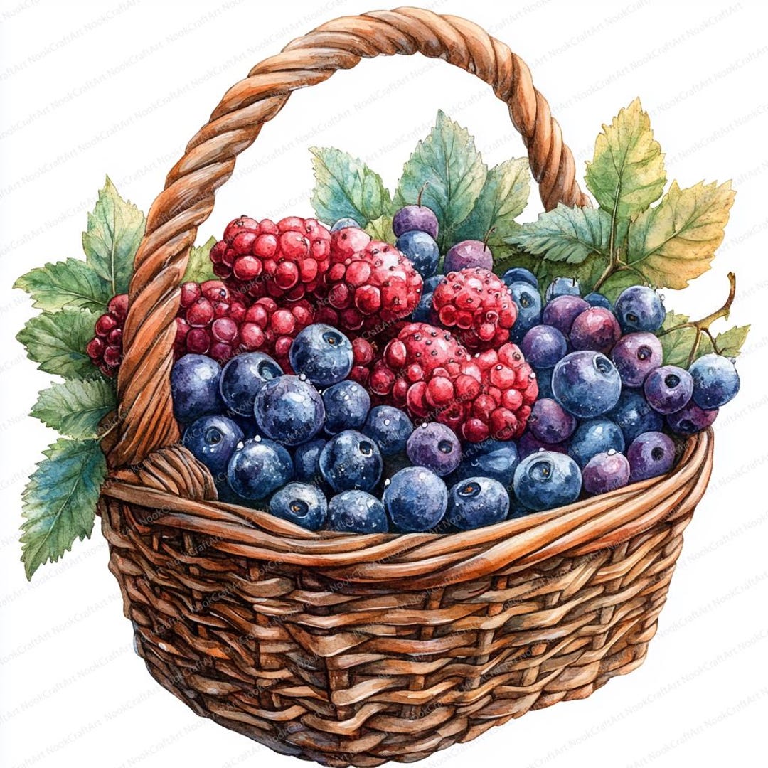 18 Fruit and Berry Basket Clipart | Fresh Harvest on Green Meadow ...