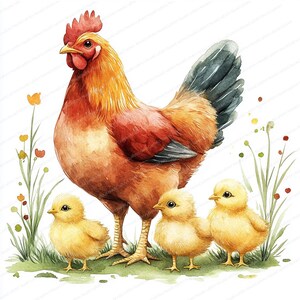 20 Chicken Family Clipart | Mother Hen With Chicks Design | Printable ...