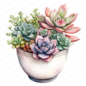 20 Potted Succulents Clipart | Succulent Pots | Printable Watercolor ...