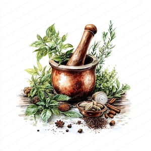 16 Watercolor Herbs and Spices Clipart | Kitchen Clipart | Printable ...