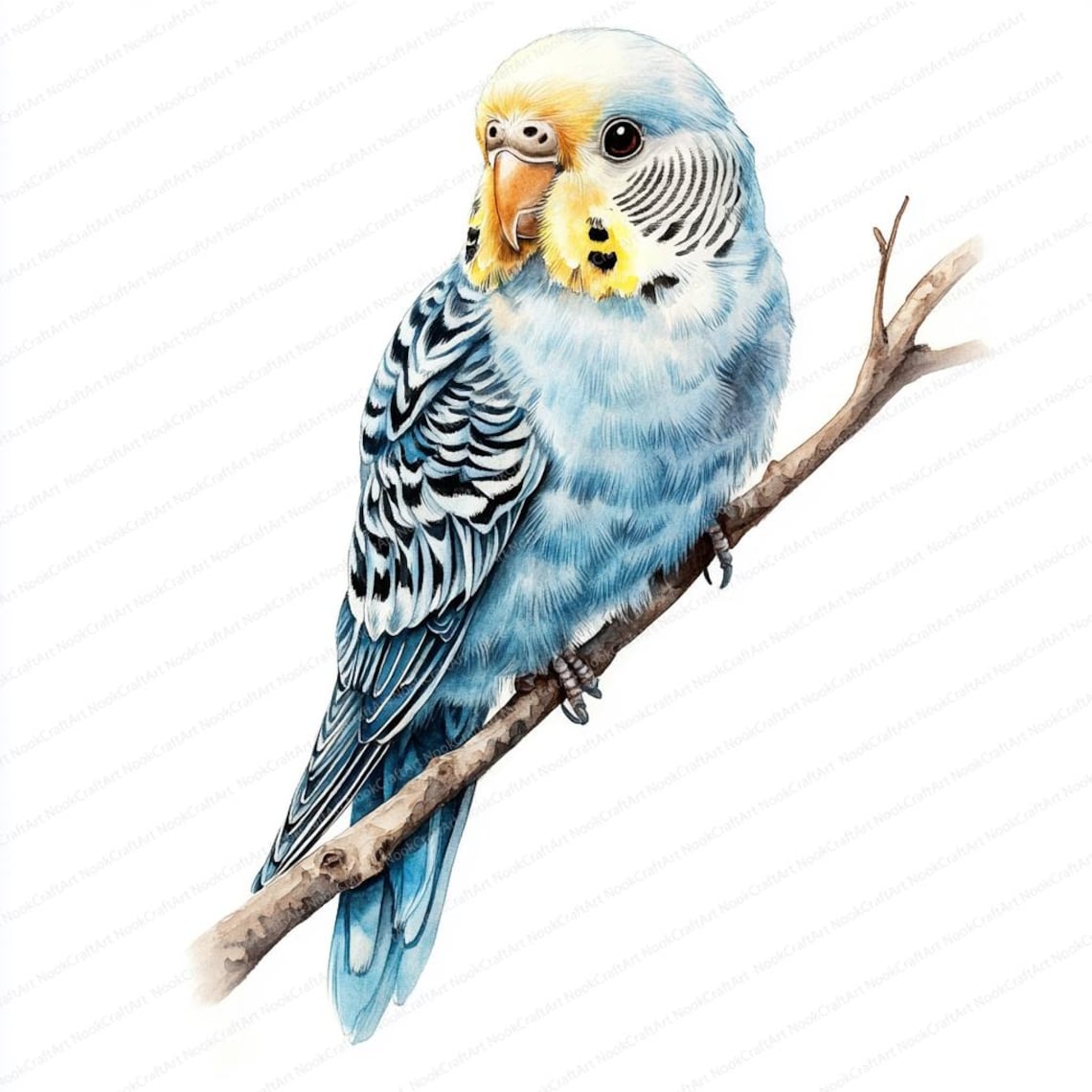 16 Budgie Clipart | Watercolor Parakeet | Printable Watercolor Clipart ...