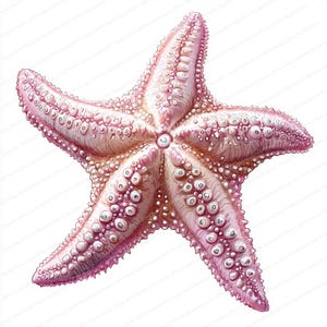 15 Starfish Ocean Clipart | Beach-themed Digital Art | Printable ...