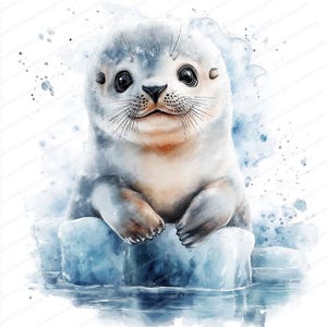 14 Cute Baby Seal Clipart | Watercolor Baby Seal | Printable Holiday ...