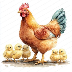 20 Chicken Family Clipart | Mother Hen With Chicks Design | Printable ...