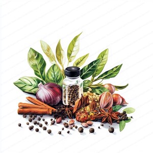 16 Watercolor Herbs and Spices Clipart | Kitchen Clipart | Printable ...