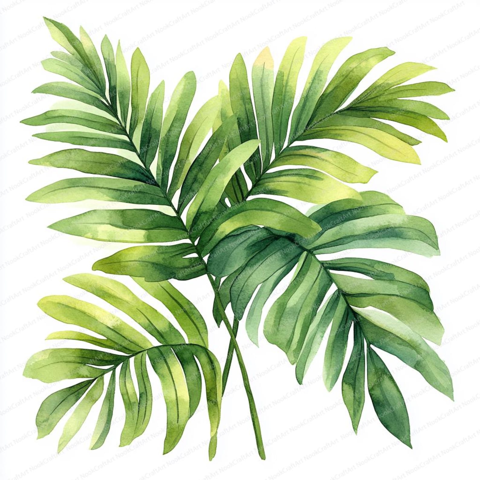 24 Gentle Palm Leaves Clipart | Tropical Foliage Art Collection ...