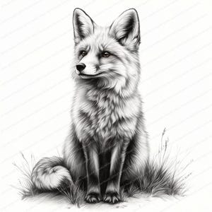 15 Black and White Fox Clipart | Line Art Design | Printable Watercolor ...