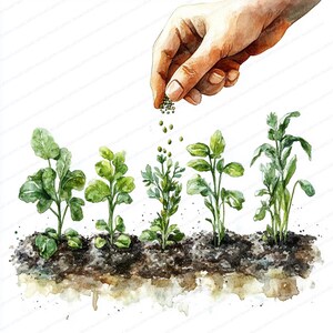 20 Garden Seed Clipart | Planting Essentials Collection| Printable ...