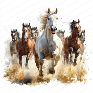 21 Horse Stampede Clipart | Wild Horses in the Steppe | Printable ...