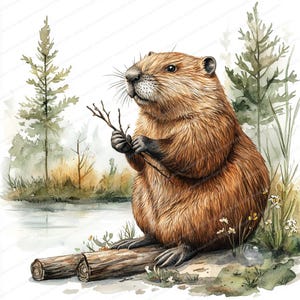 21 Beaver Dam Building Clipart | Woodland Animal Construction Art ...