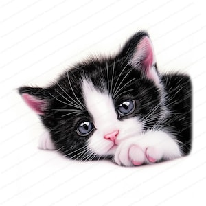 20 Black and White Cat Clipart | Whimsical Ephemera Designs ...
