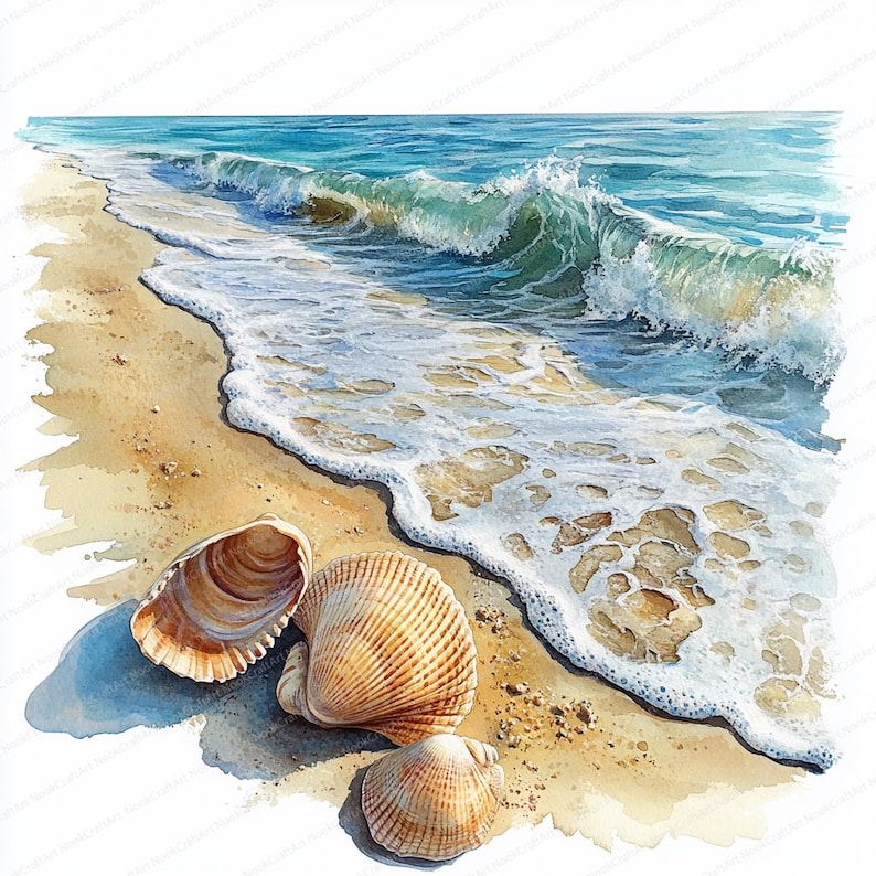 20 Seashells and Waves Clipart | Coastal Beach Illustrations ...