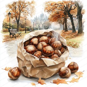 20 Roasted Chestnuts Clipart | Hot Street Snacks Illustration ...