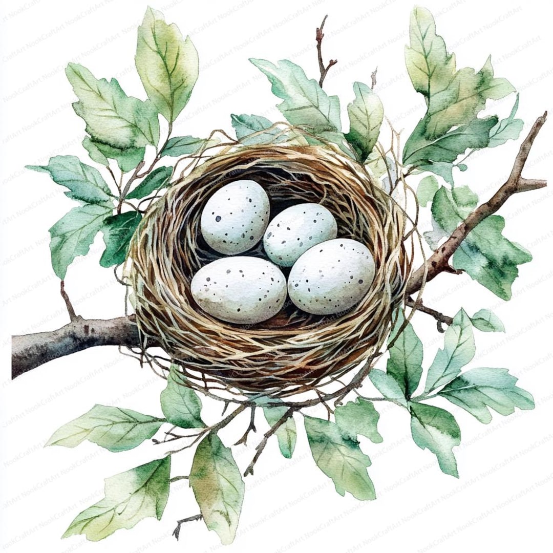 20 Bird Nest Clipart | Decorative Nests With Eggs | Printable ...