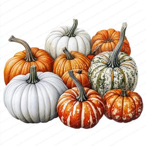 18 Autumn Gourds and Pumpkin Clipart | Harvest Pumpkin Designs | High ...