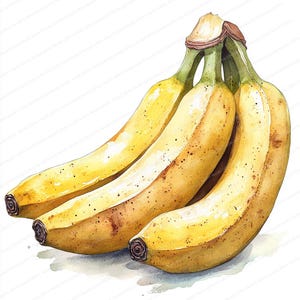 20 Banana Paradise Clipart | Tropical Fruit Illustration Set ...