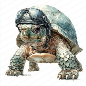 15 Turtle in Helmet Clipart | Quirky Cartoon Animal Illustration ...
