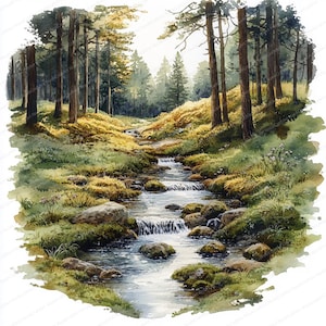 20 Spring Stream Clipart Among Mosses | Nature-inspired Digital ...