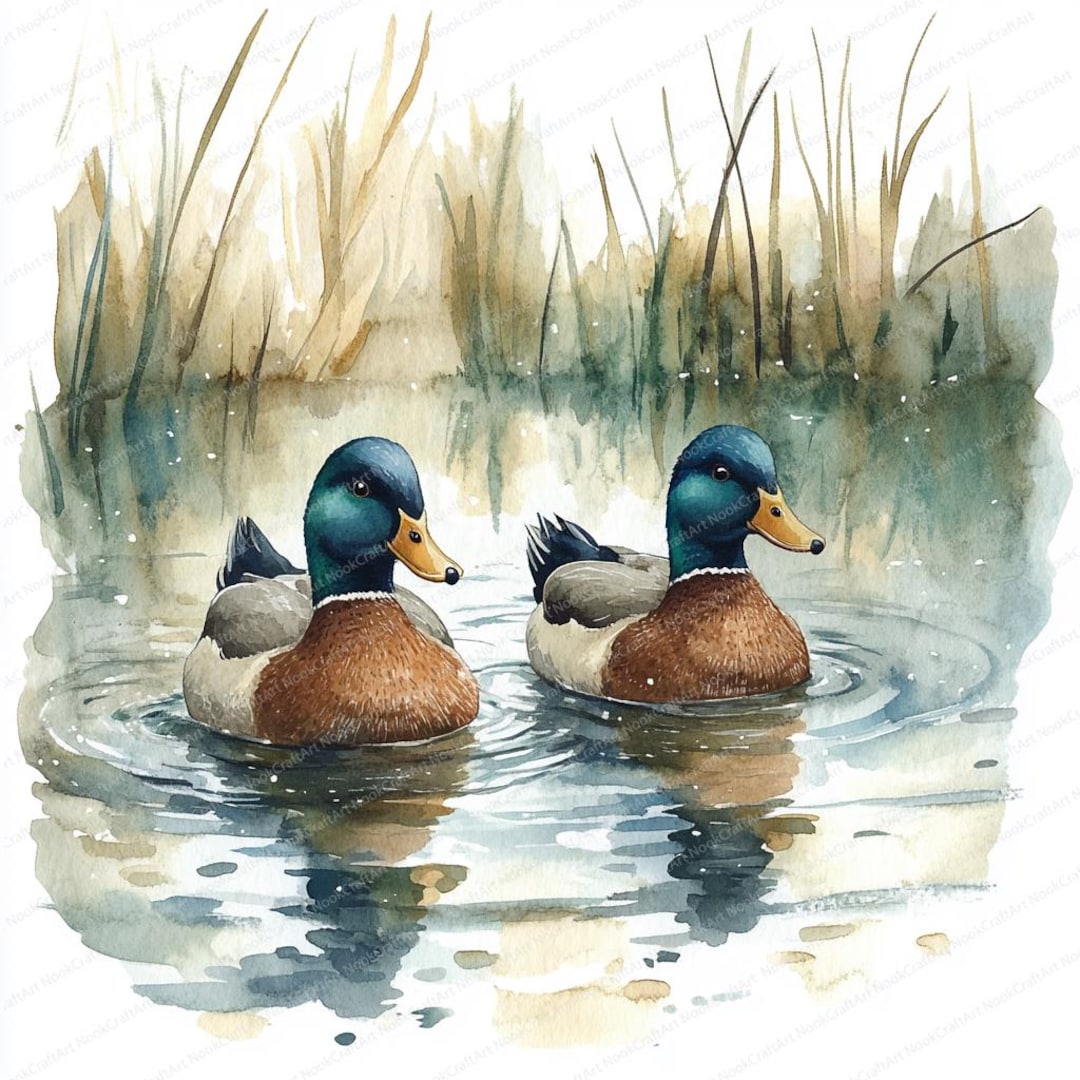 17 Ducks in Rainy Lake Clipart | Charming Pond Wildlife Illustrations ...