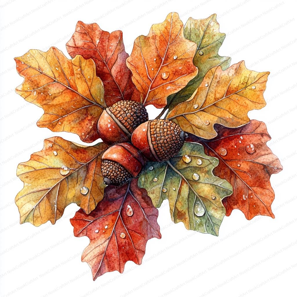 24 Oak Leaves and Acorns Clipart | Nature-inspired Autumn Graphics ...