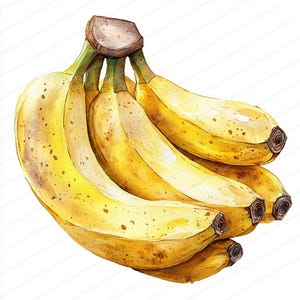 20 Banana Paradise Clipart | Tropical Fruit Illustration Set ...