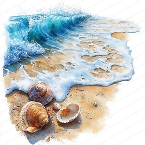 20 Seashells and Waves Clipart | Coastal Beach Illustrations ...