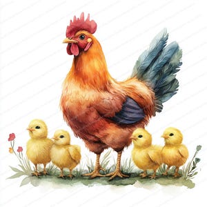 20 Chicken Family Clipart | Mother Hen With Chicks Design | Printable ...