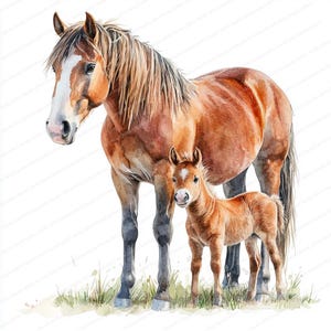 18 Baby Horse Clipart | Horse and Foal | Printable Watercolor Clipart ...