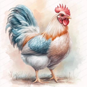 Pastel Chicken Clipart Bundle | 14 High Quality Jpgs | Printable ...