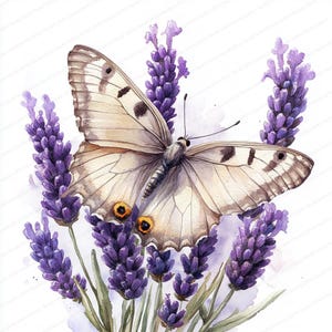 20 Butterfly on Lavender Clipart | Whimsical Floral Illustration ...
