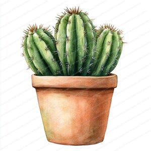 22 Cactus Plant Clipart Collection | Potted Succulent Art Set ...