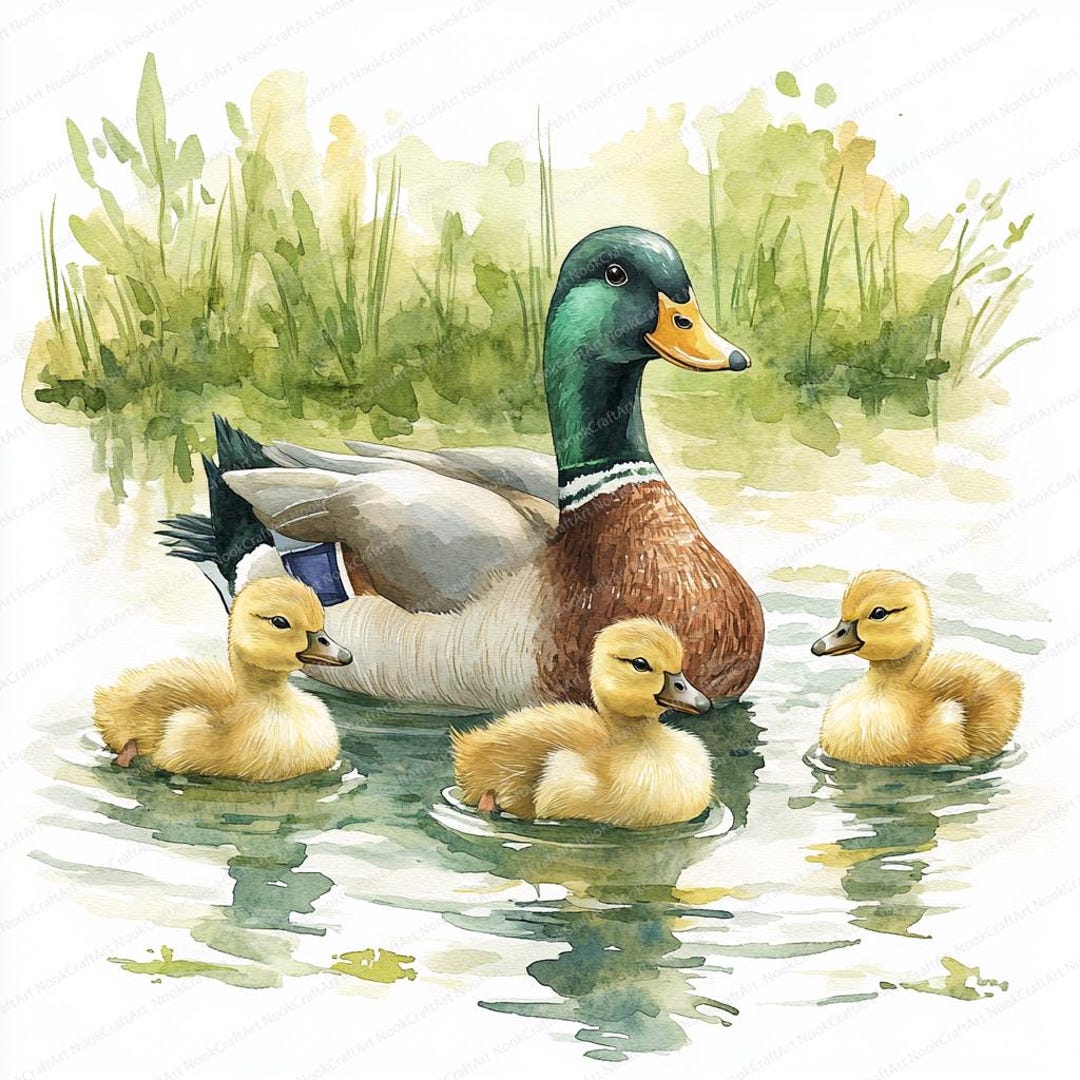 19 Duck Pond Clipart | Farm Ducks With Goslings Art | Printable ...
