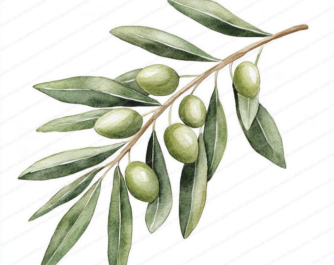 10 Green Olive Branches Clipart L Botanical Leaves L JPG Digital ...