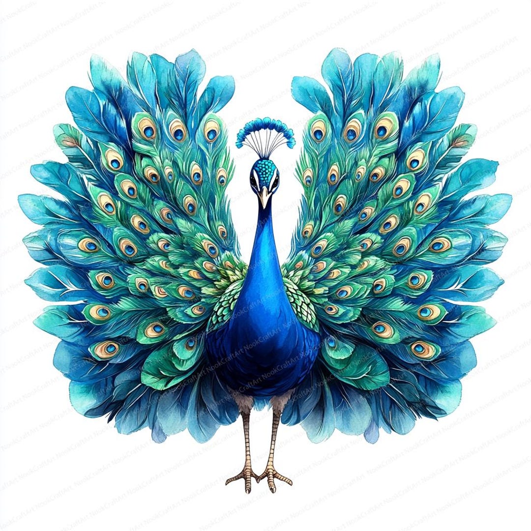 18 Beautiful Cute Peacock Clipart Bundle Printable Watercolor Clipart ...