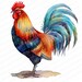 12 Coloured Rooster Clipart Printable Watercolor Clipart High Quality ...